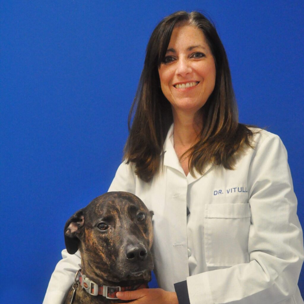 Michelle Vitulli, DVM - Veterinary Practice Partners
