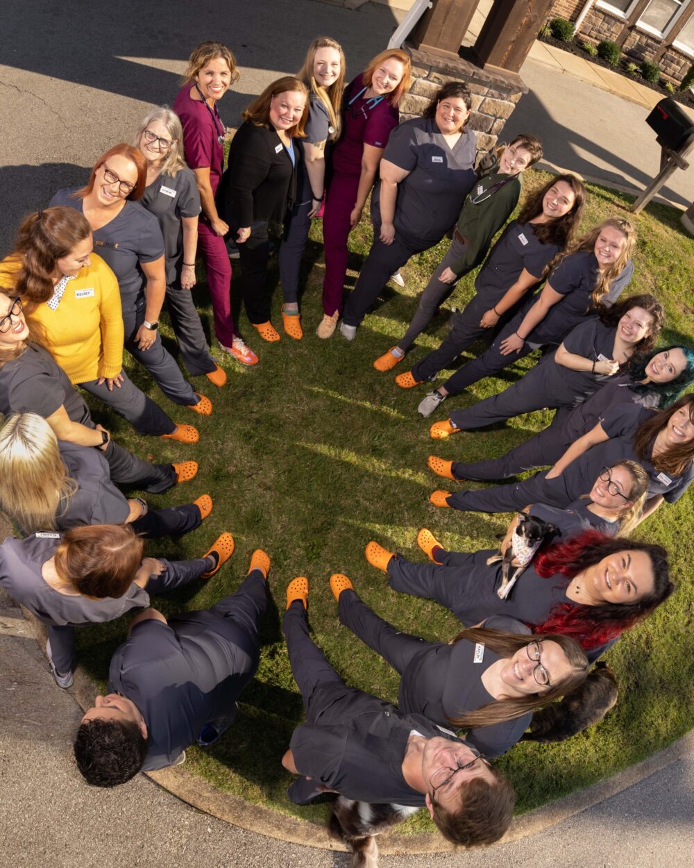 Partner with us - Veterinary Practice Partners
